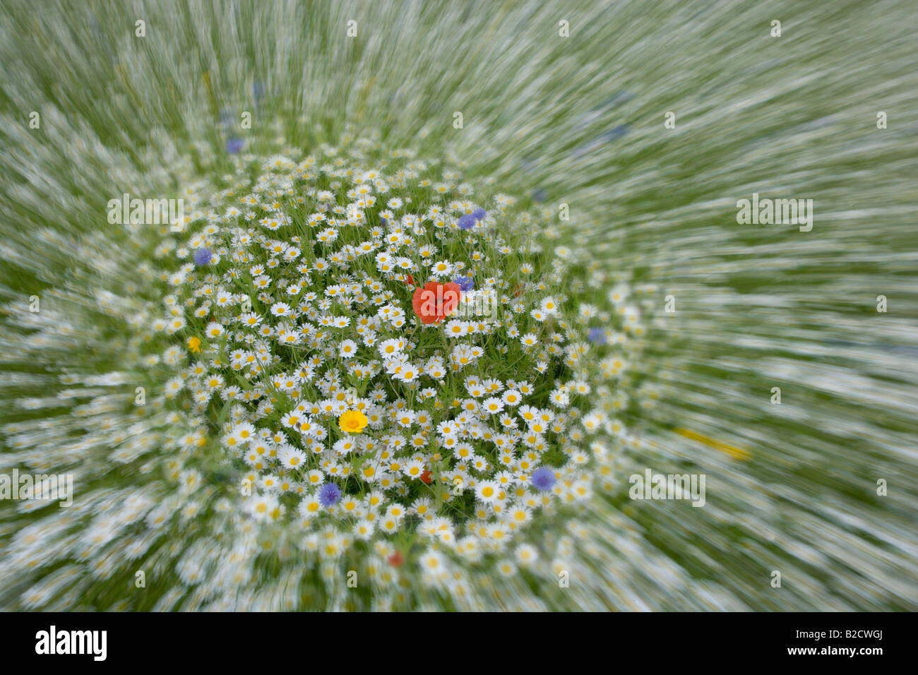 Zoom pattern hi-res stock photography and images - Alamy
