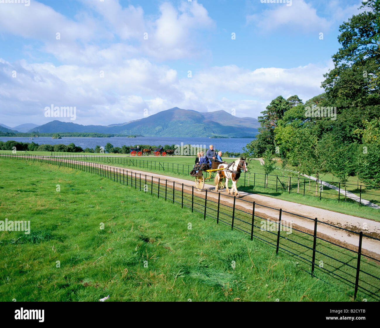 Irish jaunting cart hi-res stock photography and images - Alamy