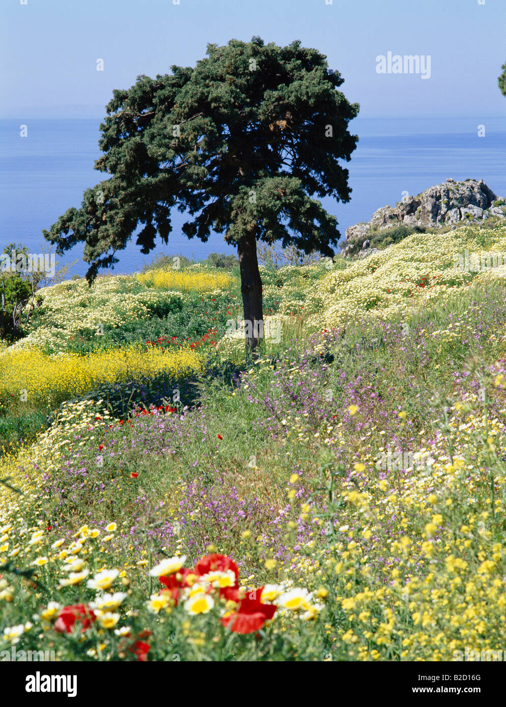 Countryside in spring greek islands hi-res stock photography and images ...