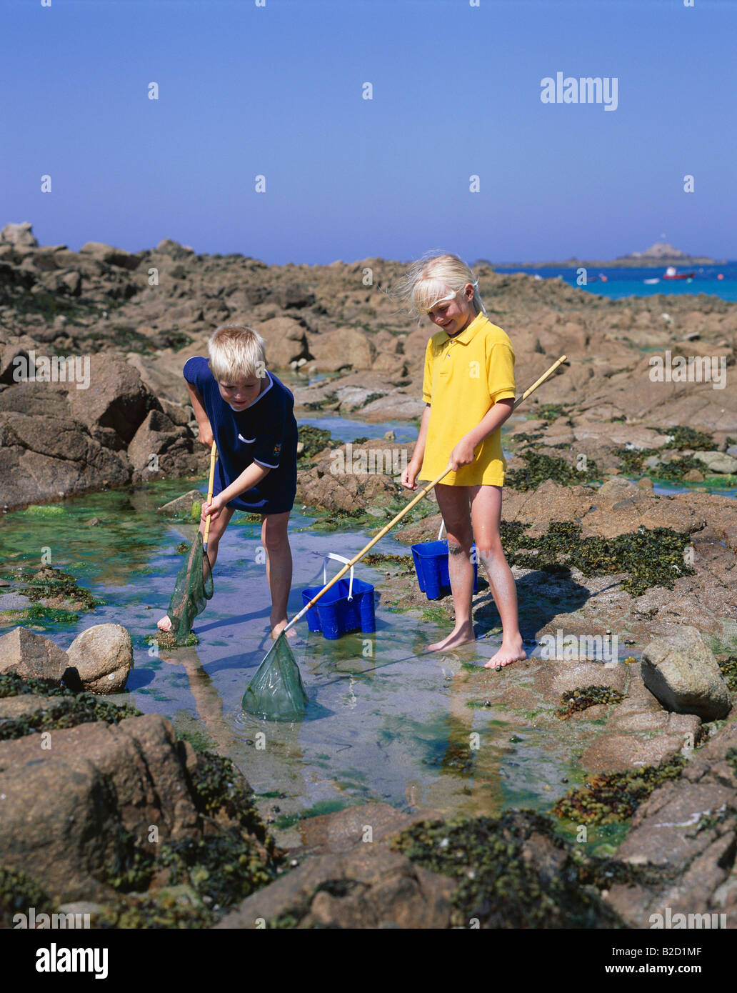 Channel islands rock pooling hi-res stock photography and images - Alamy
