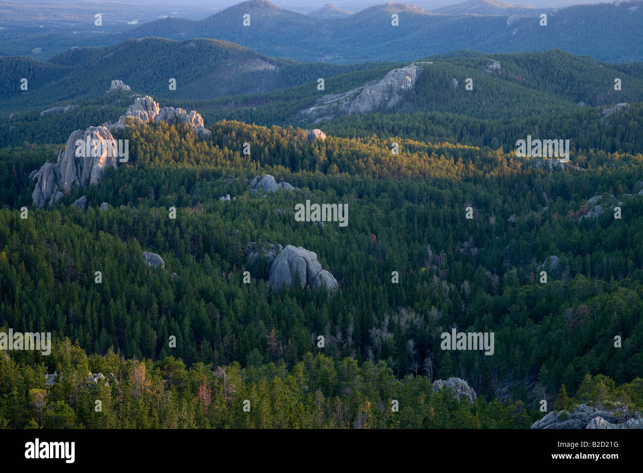 Custer national park hi-res stock photography and images - Alamy