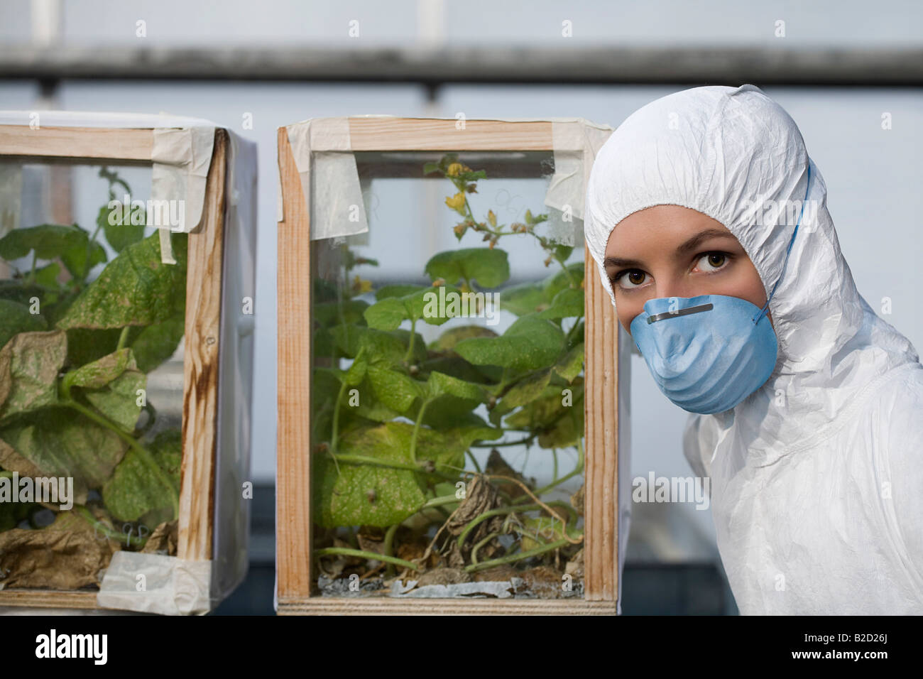 Laboratory mask woman plants hi-res stock photography and images - Alamy