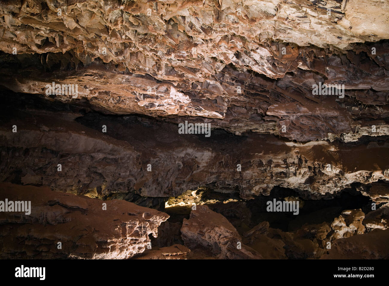 cave ceiling covered with boxwork, Wind Cave National Park, South ...