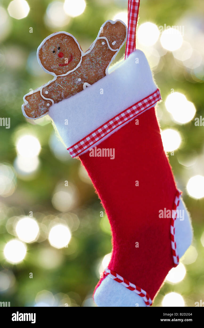Gingerbread man in Christmas stocking Stock Photo - Alamy