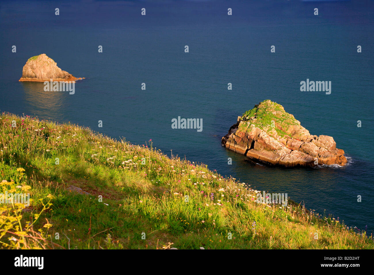 Cod Rocks Berry Head Devon Brixham Torbay Devon England Britain UK ...