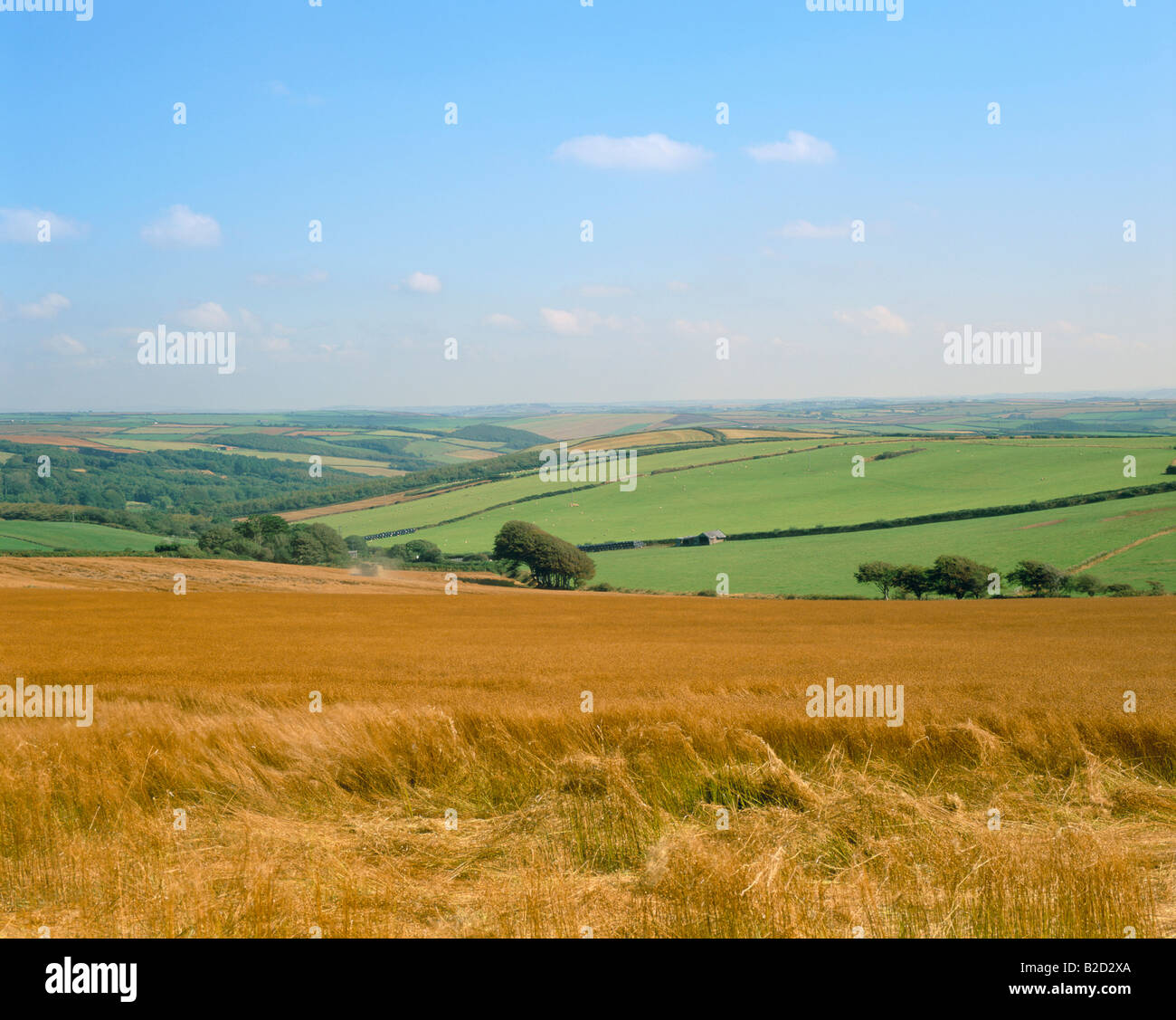 UK - England, Devon Stock Photo - Alamy