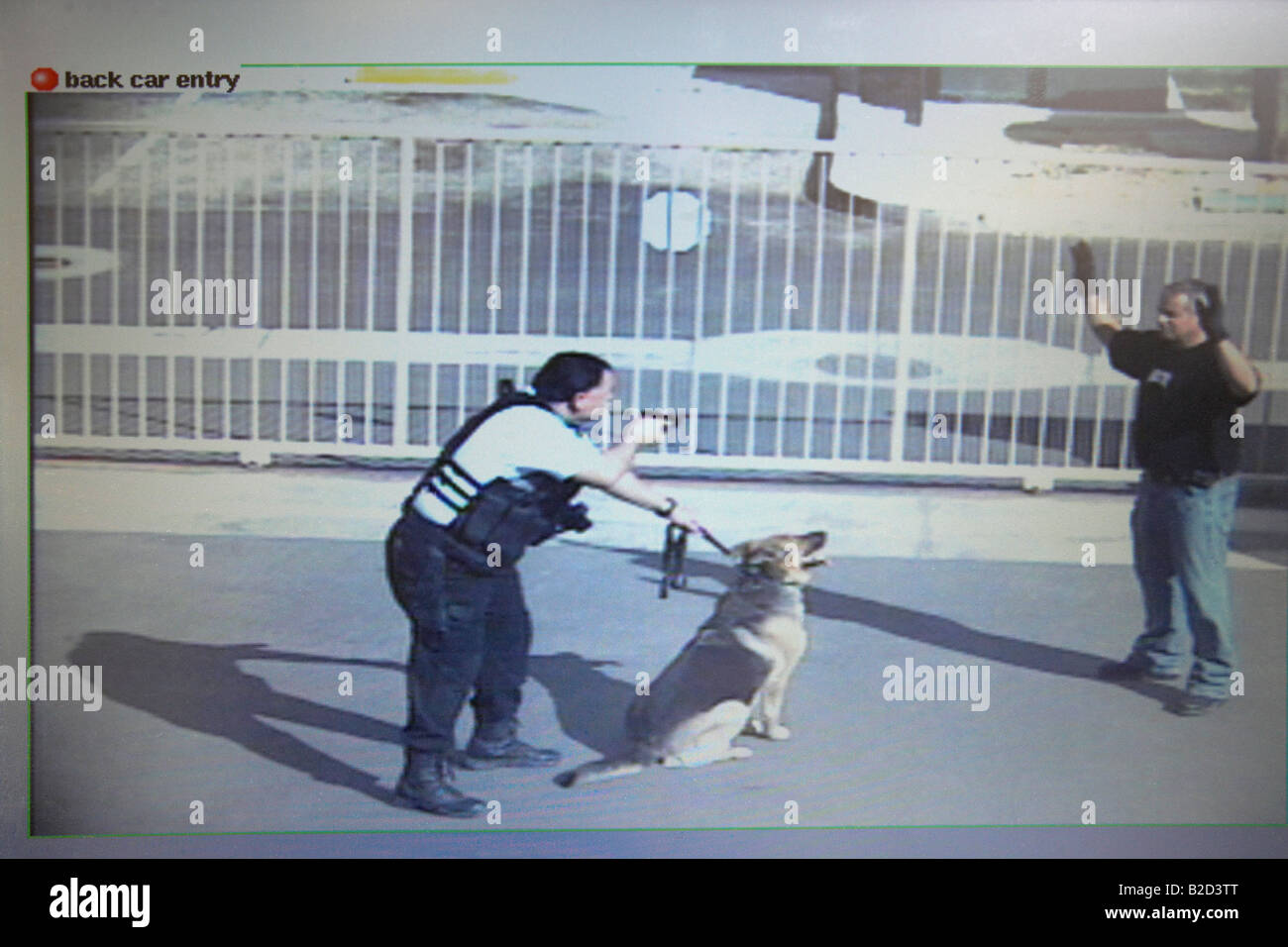 Security guard aiming gun at thief Stock Photo - Alamy