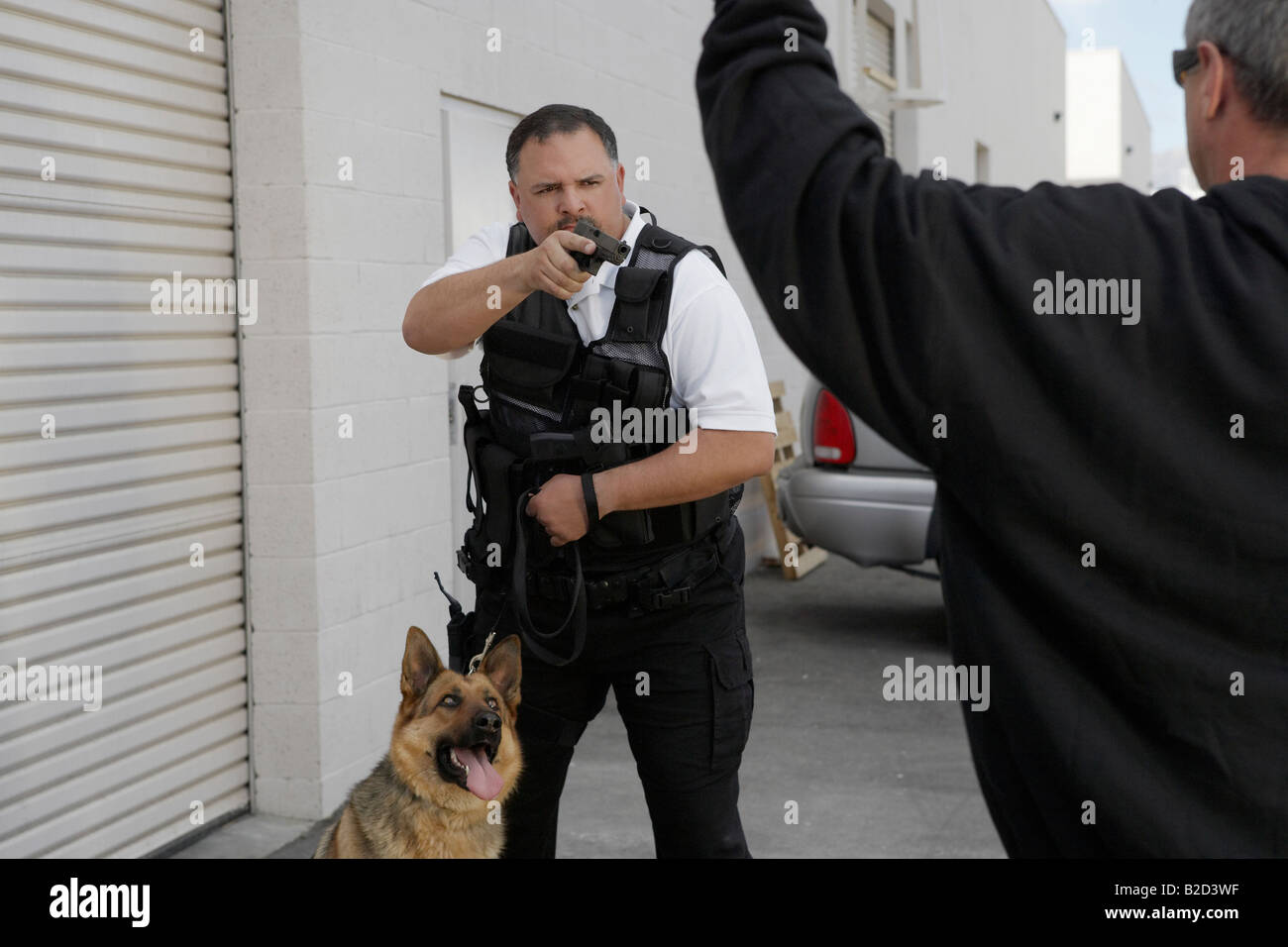 Thief with raised arms and security guard with dog Stock Photo - Alamy