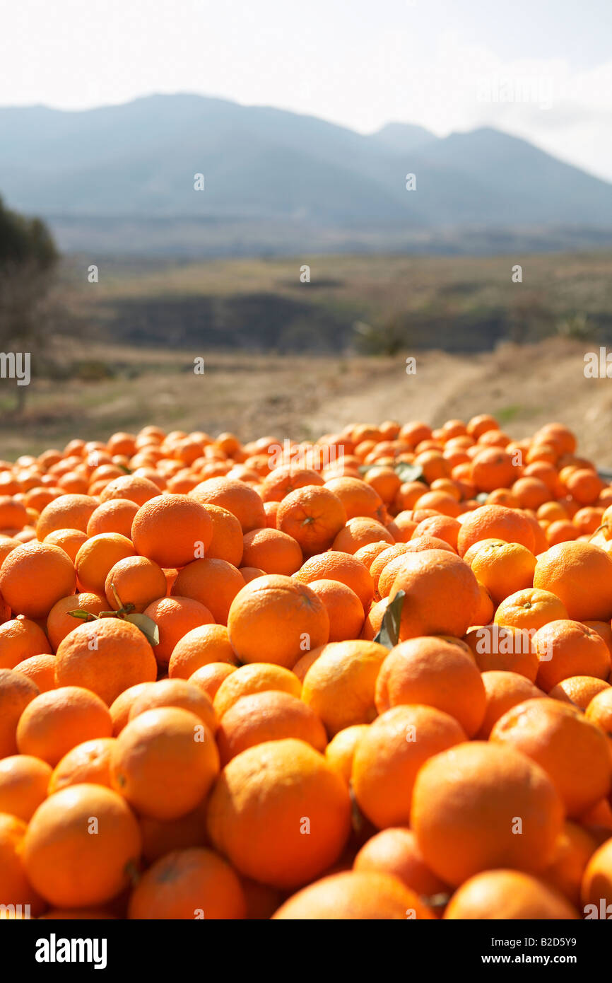 Orange pile hi-res stock photography and images - Alamy
