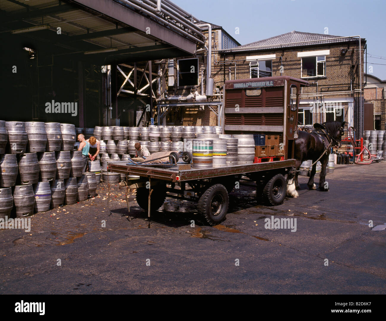 Youngs brewery shire horses hi-res stock photography and images - Alamy
