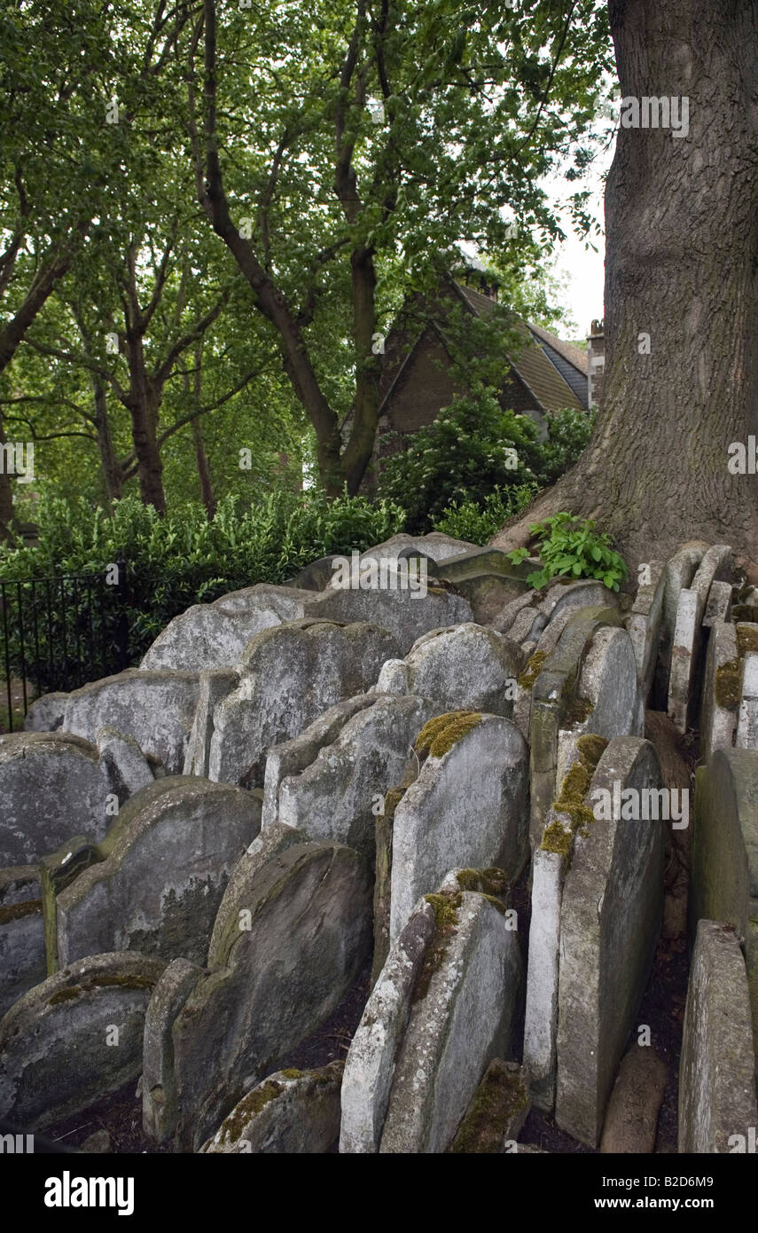Thomas hardy tree hi-res stock photography and images - Alamy