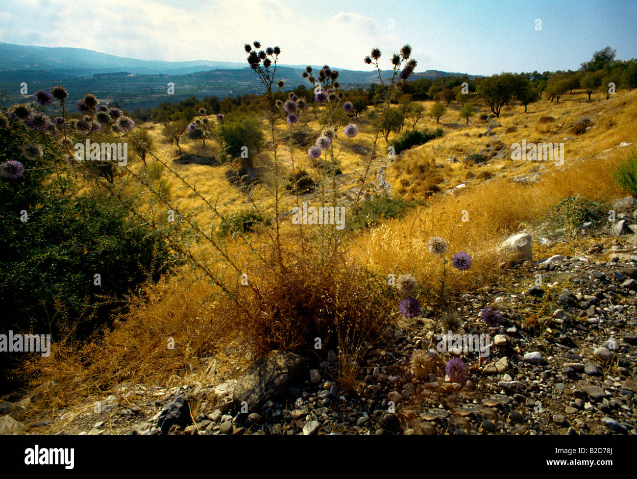 Cyprus Trodos Mountains Stock Photo - Alamy