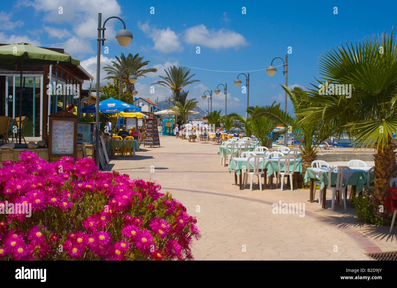 Cafe scene along harbour Cyprus, South Stock Photo - Alamy