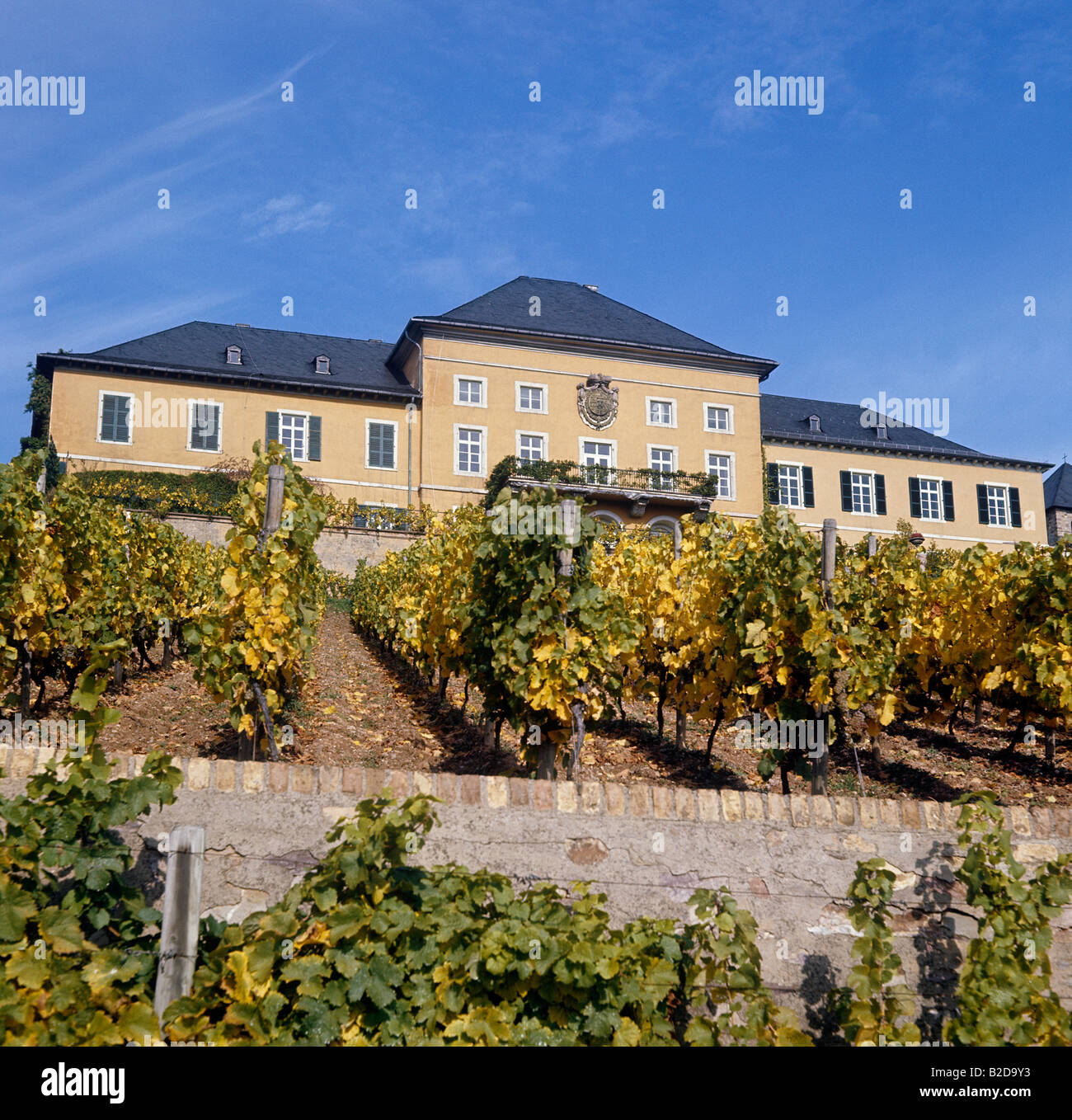 Schloss johannisberg castle hi-res stock photography and images - Alamy