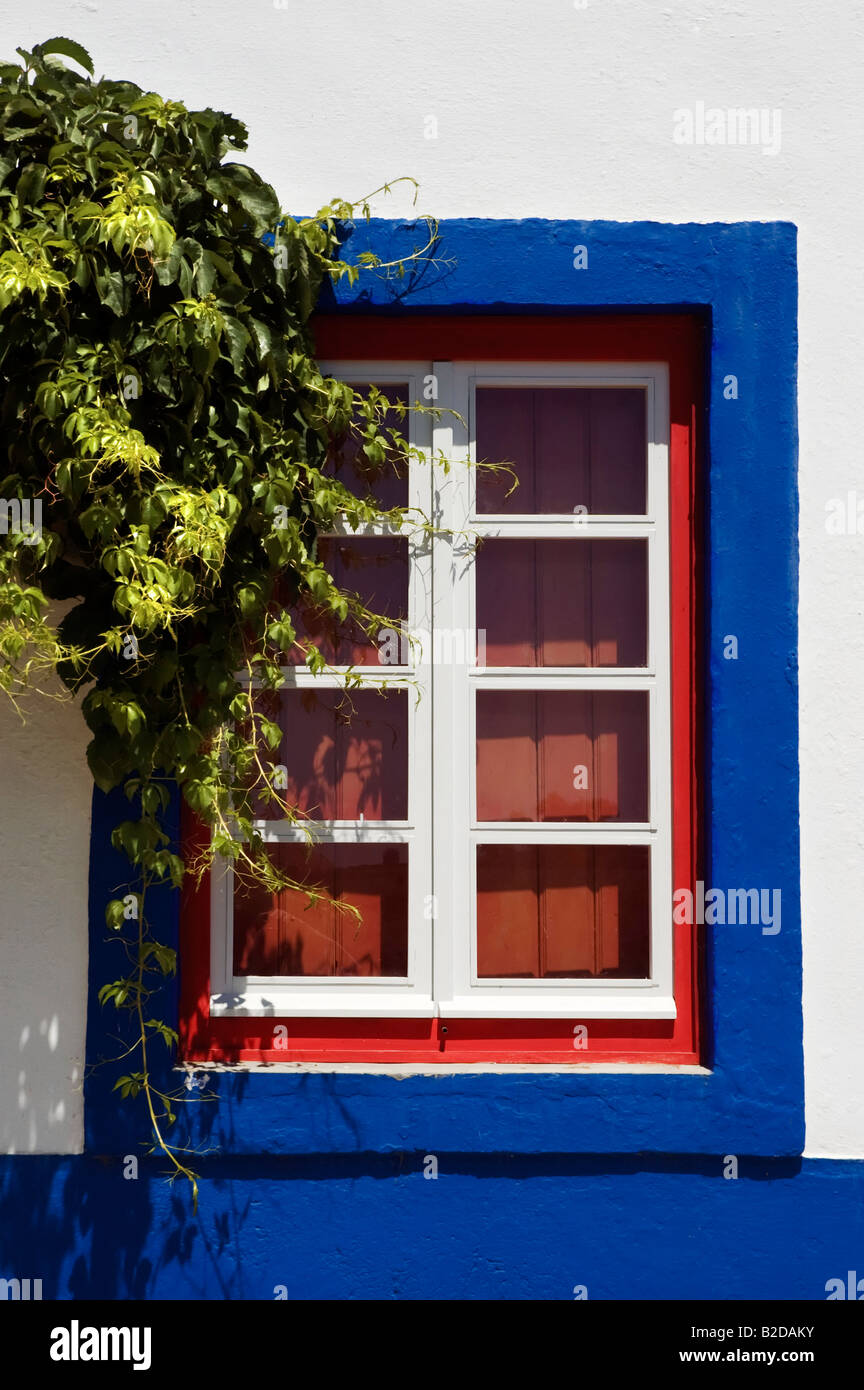Red window with vines Portugal Stock Photo - Alamy