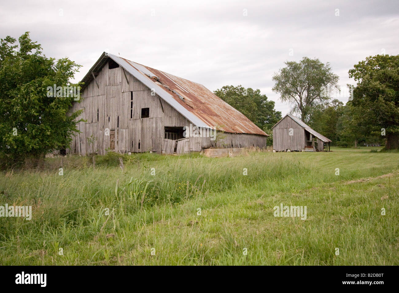 Abandoned farmhouse surrounded by green grass and overgrown brush Stock ...