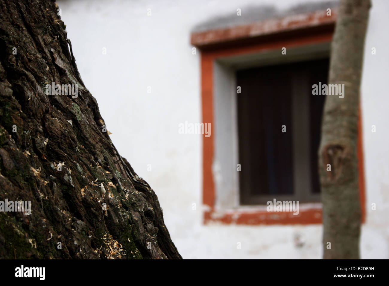 Facades with tree 4 Stock Photo - Alamy