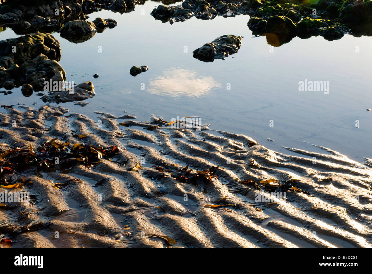 Sand ripples with cloud reflection Stock Photo - Alamy