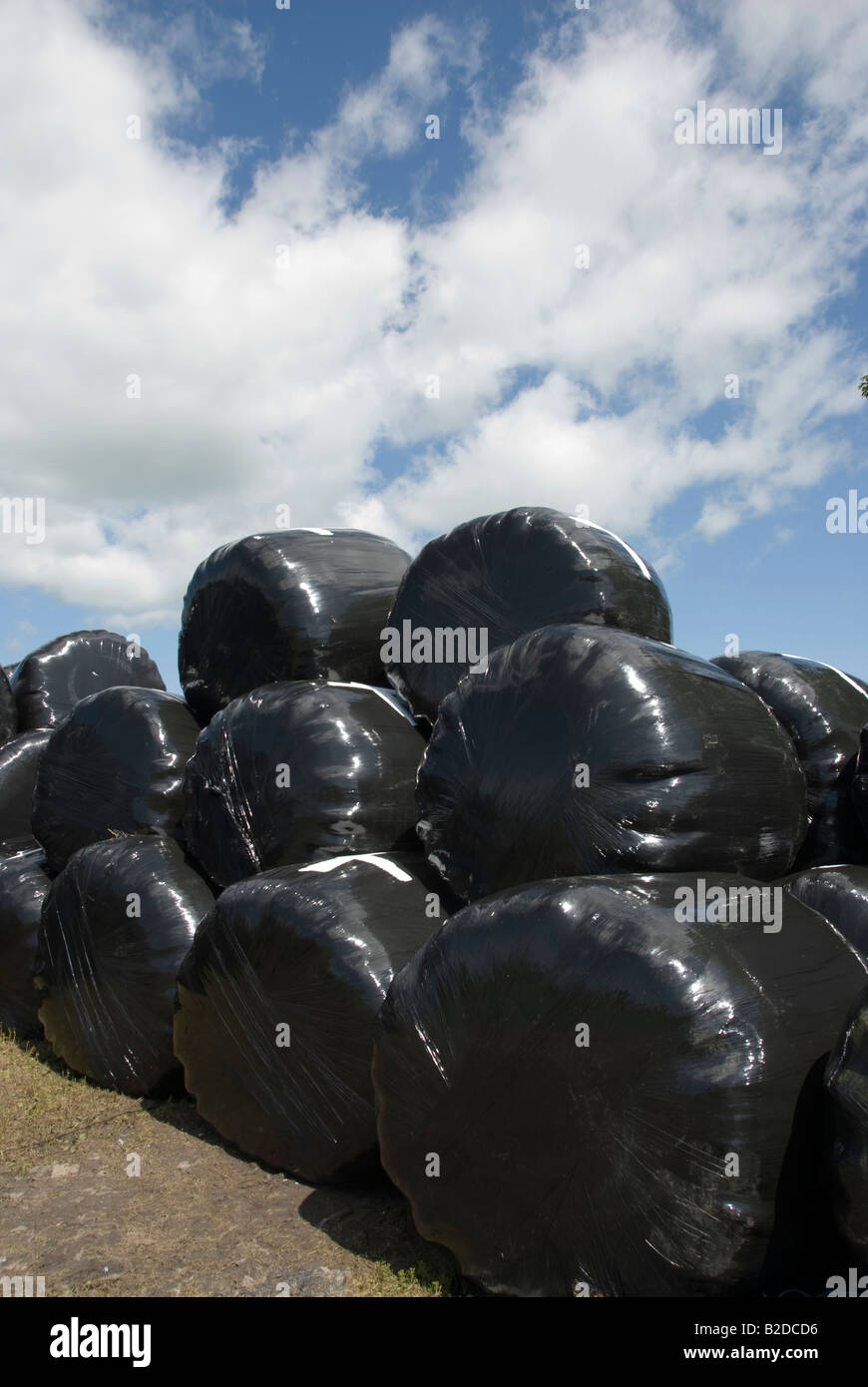 stack of plastic wrapped silage bales Stock Photo - Alamy