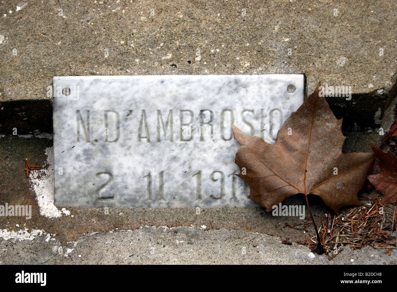 Forgotten grave: plaque & leaf Stock Photo - Alamy