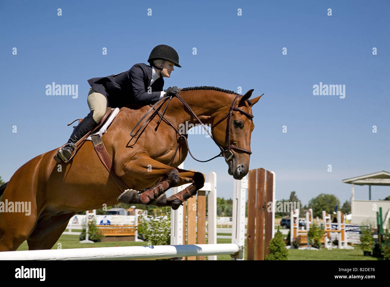 Horse_show hi-res stock photography and images - Alamy