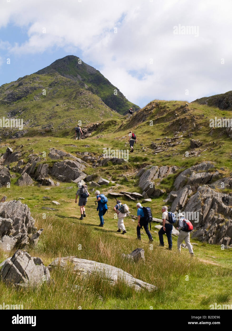 Group of Welsh Ramblers walking up Cnicht mountain in Snowdonia National Park in summer ...