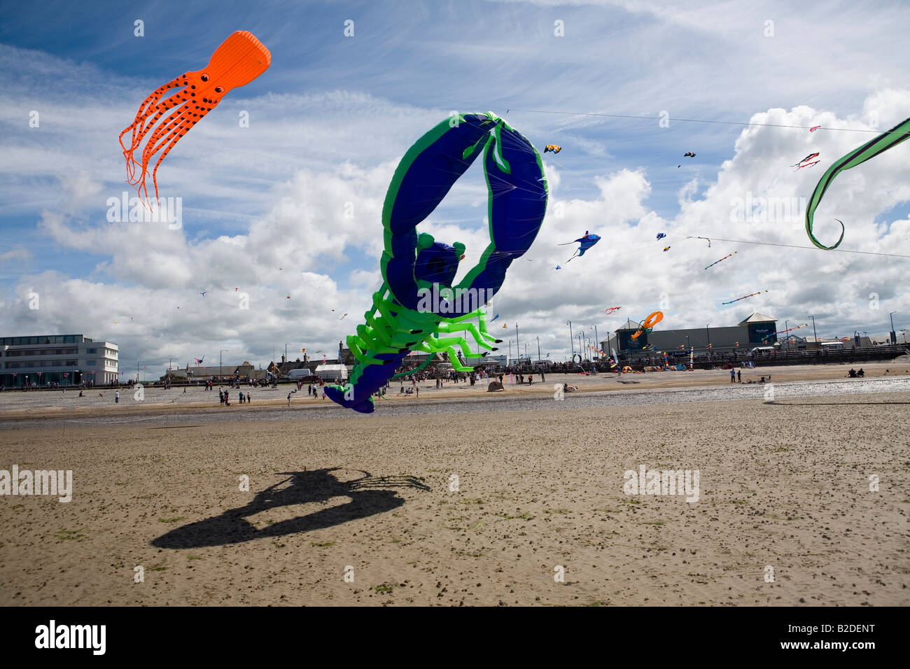 Rainbow lobster hi-res stock photography and images - Alamy