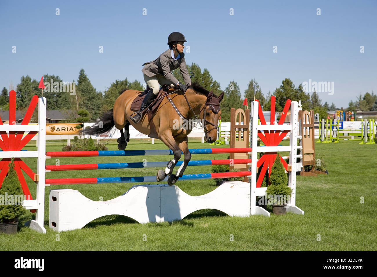 How High Can A Horse Jump