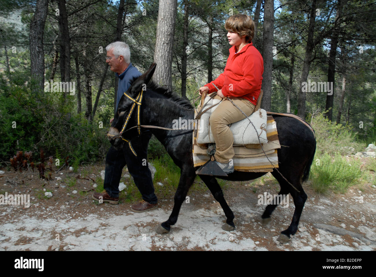 Man walking donkey hi-res stock photography and images - Alamy