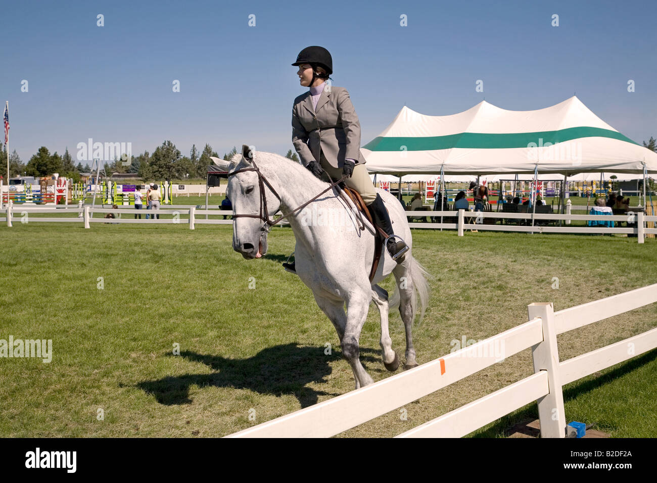 Rider Horse On Show Jumping Stock Photos & Rider Horse On Show Jumping ...