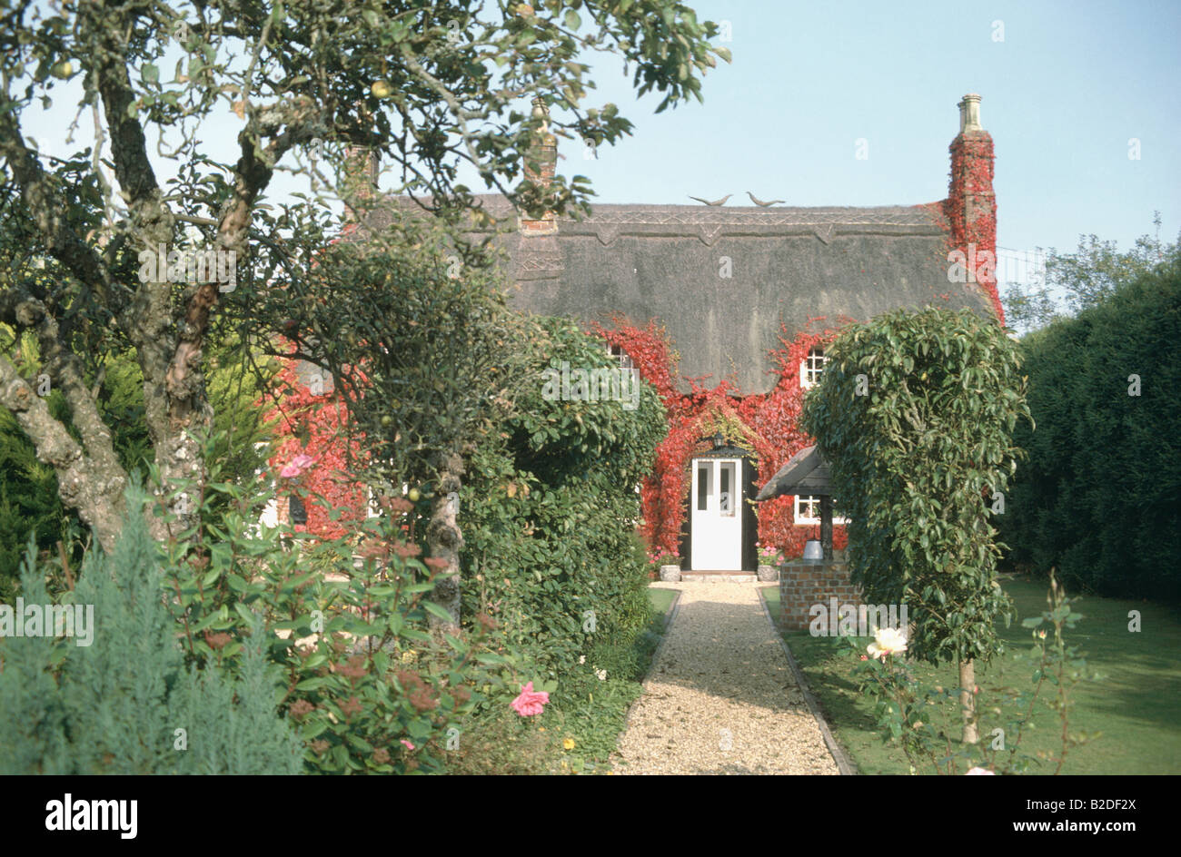 Gravel path through garden in front of thatched country cottage with ...