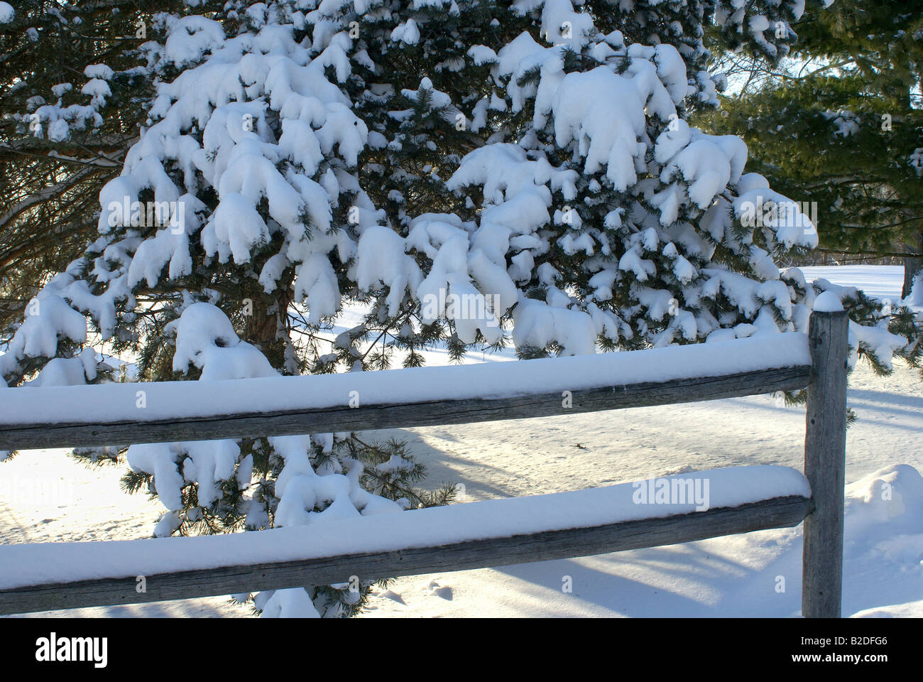 Split rail fence with snow hi-res stock photography and images - Alamy