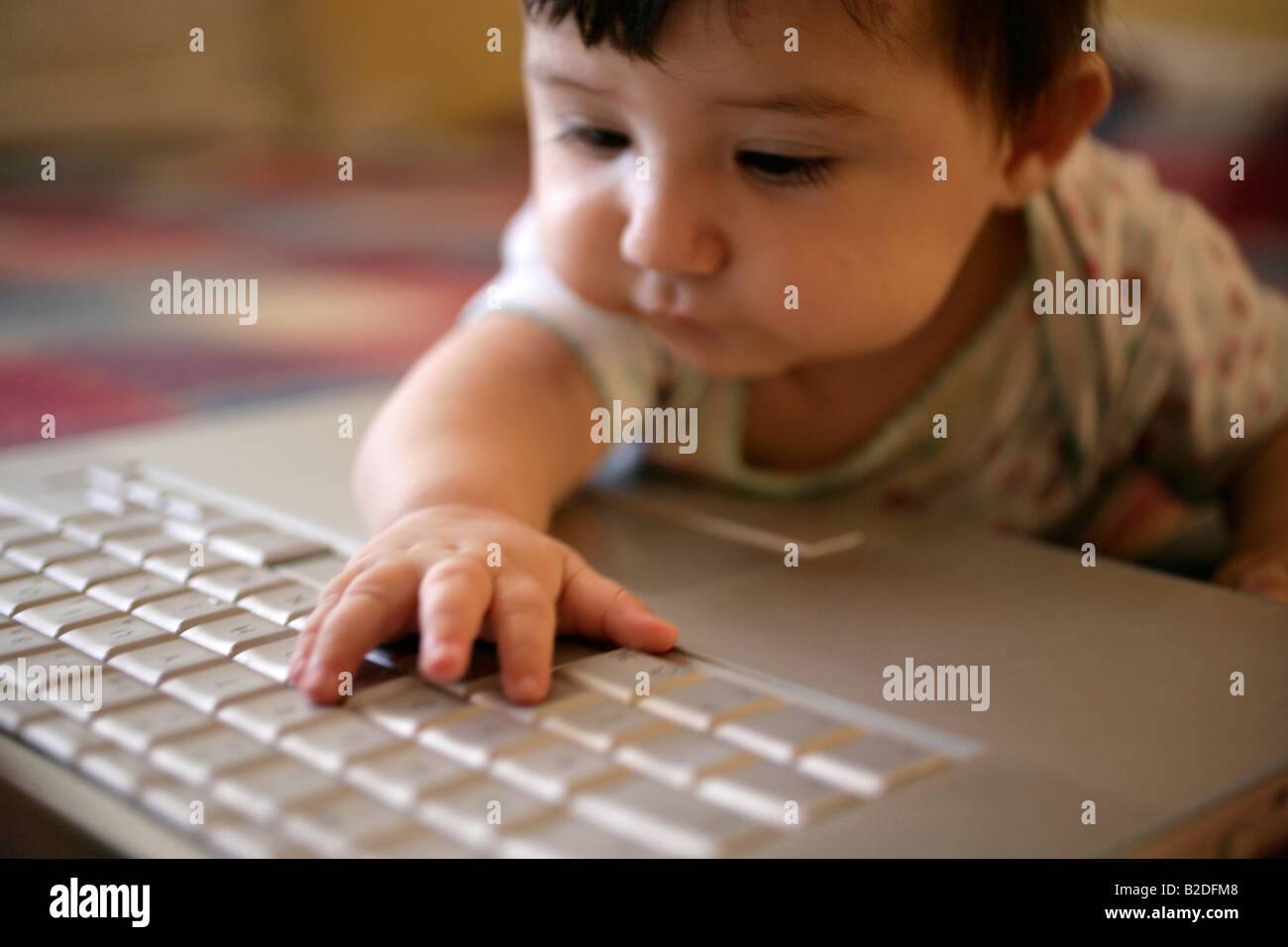 Six month old baby playing on a laptop Stock Photo - Alamy