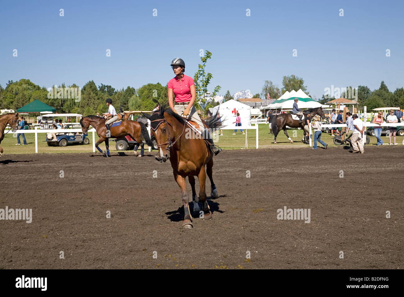Equestrian show jumping hi-res stock photography and images - Alamy