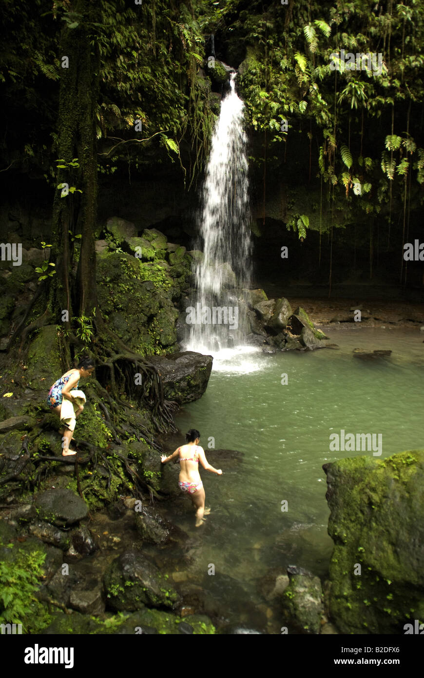 Trois piton national park hi-res stock photography and images - Alamy
