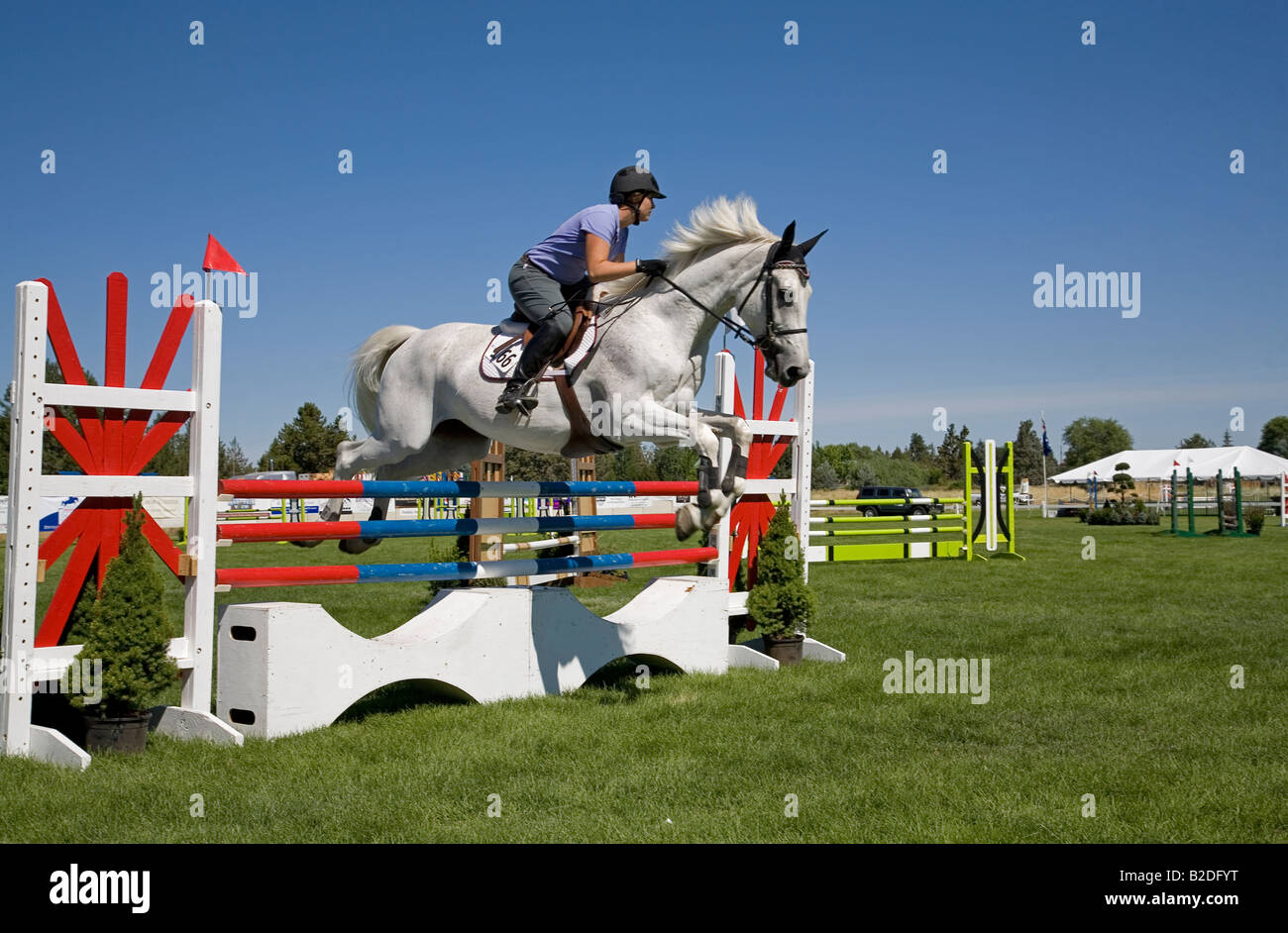 Equestrian competition hi-res stock photography and images - Alamy
