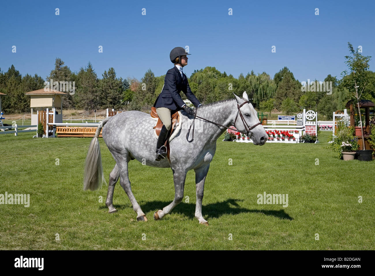 Rider horse on show jumping hi-res stock photography and images - Alamy
