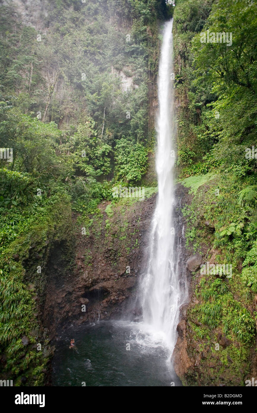 Swimming at the base of Middleham Falls Dominica Eastern Caribbean West ...