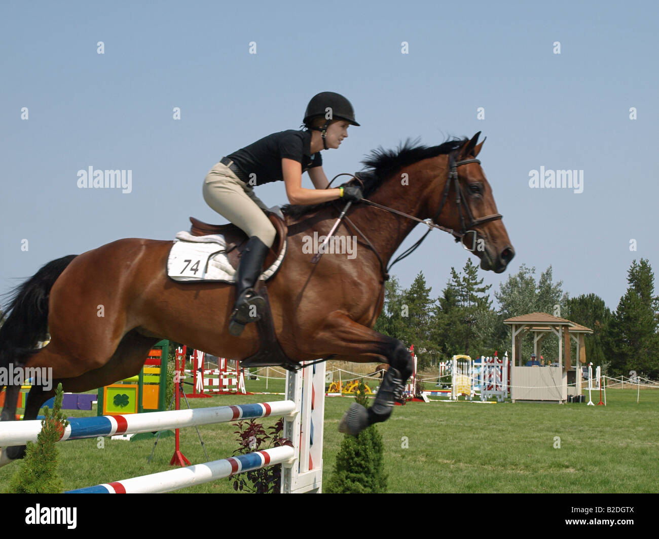 A young rider aboard a hunter jumper horse takes a jump during a ...