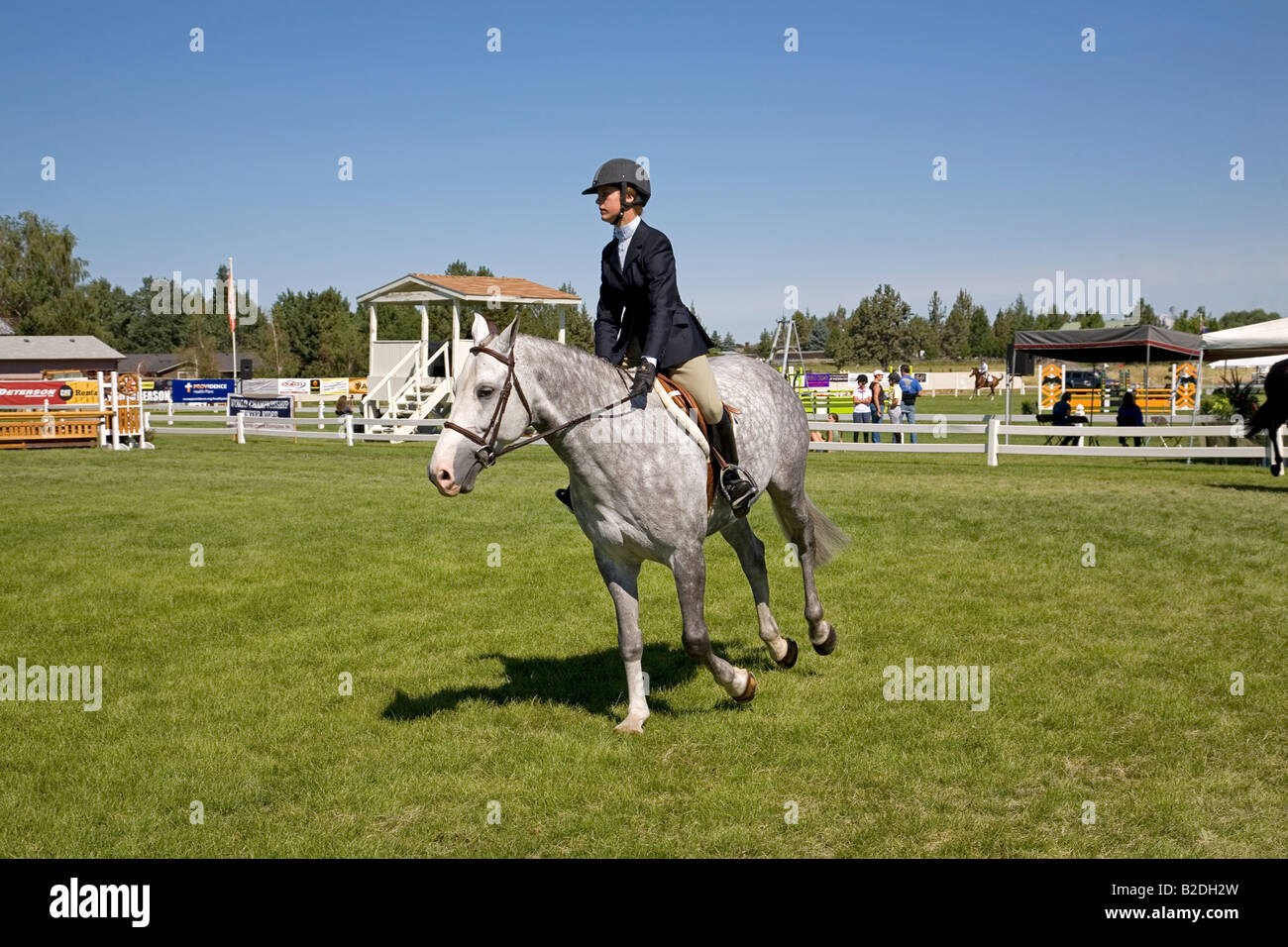 A rider in the hunter jumper ring during an equestrian competition at ...