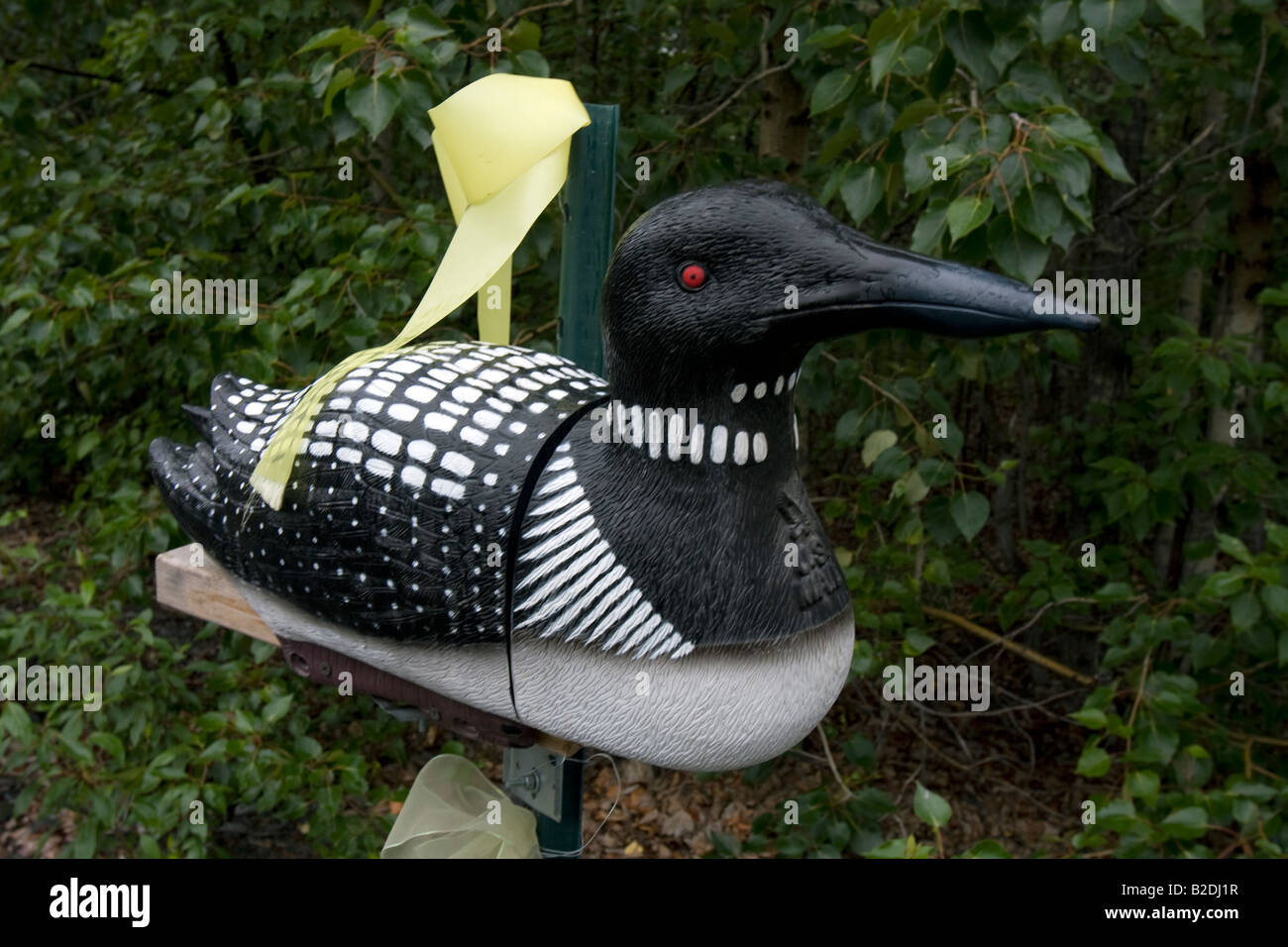 Duck shaped mail box Stock Photo - Alamy