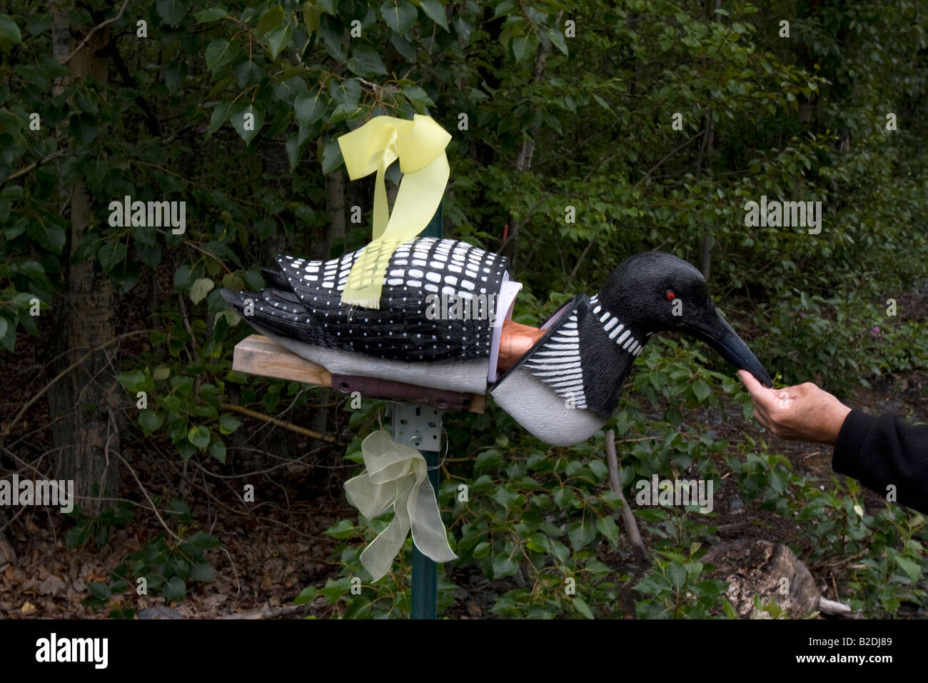 Mail box shaped in the form of a duck Stock Photo - Alamy