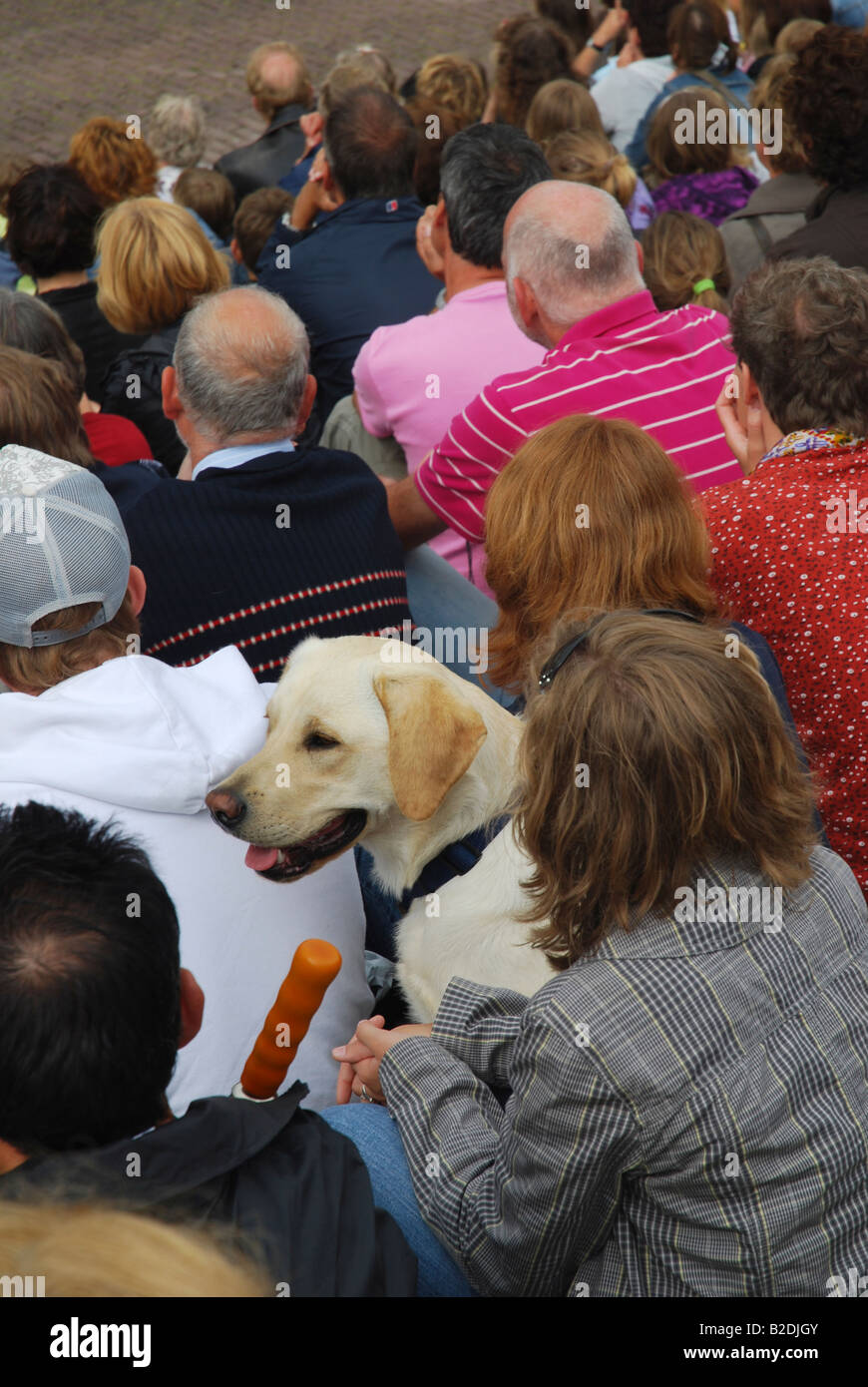 crowd of spectators at outdoor event Stock Photo - Alamy