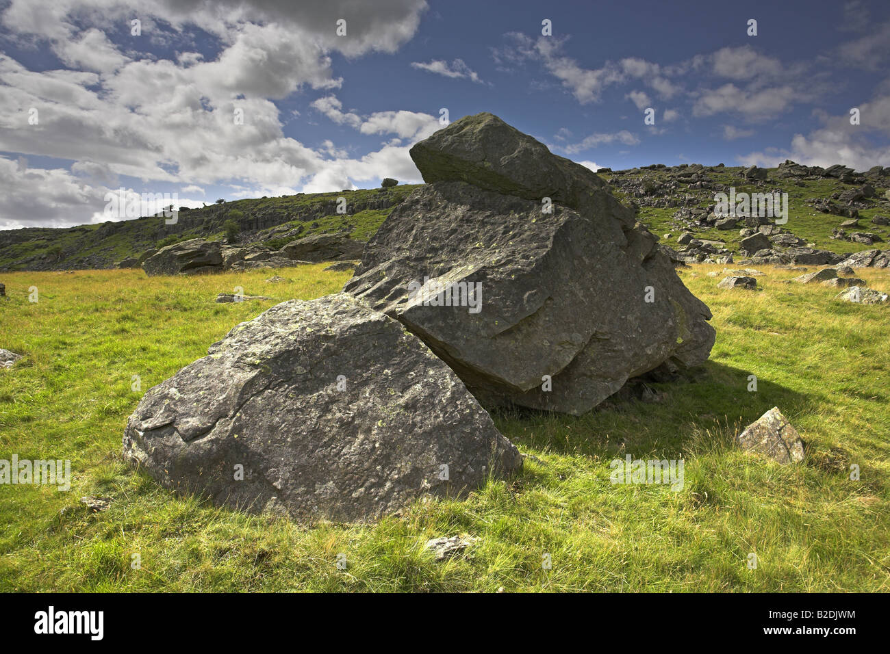 Erratics