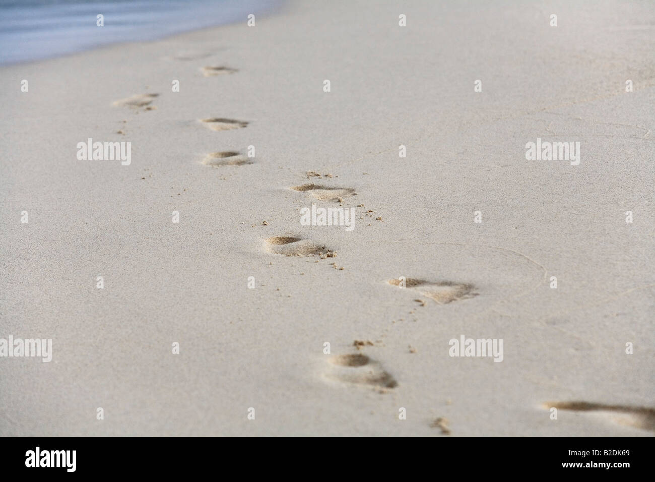 Sandy Footprints British Virgin Islands Stock Photo - Alamy