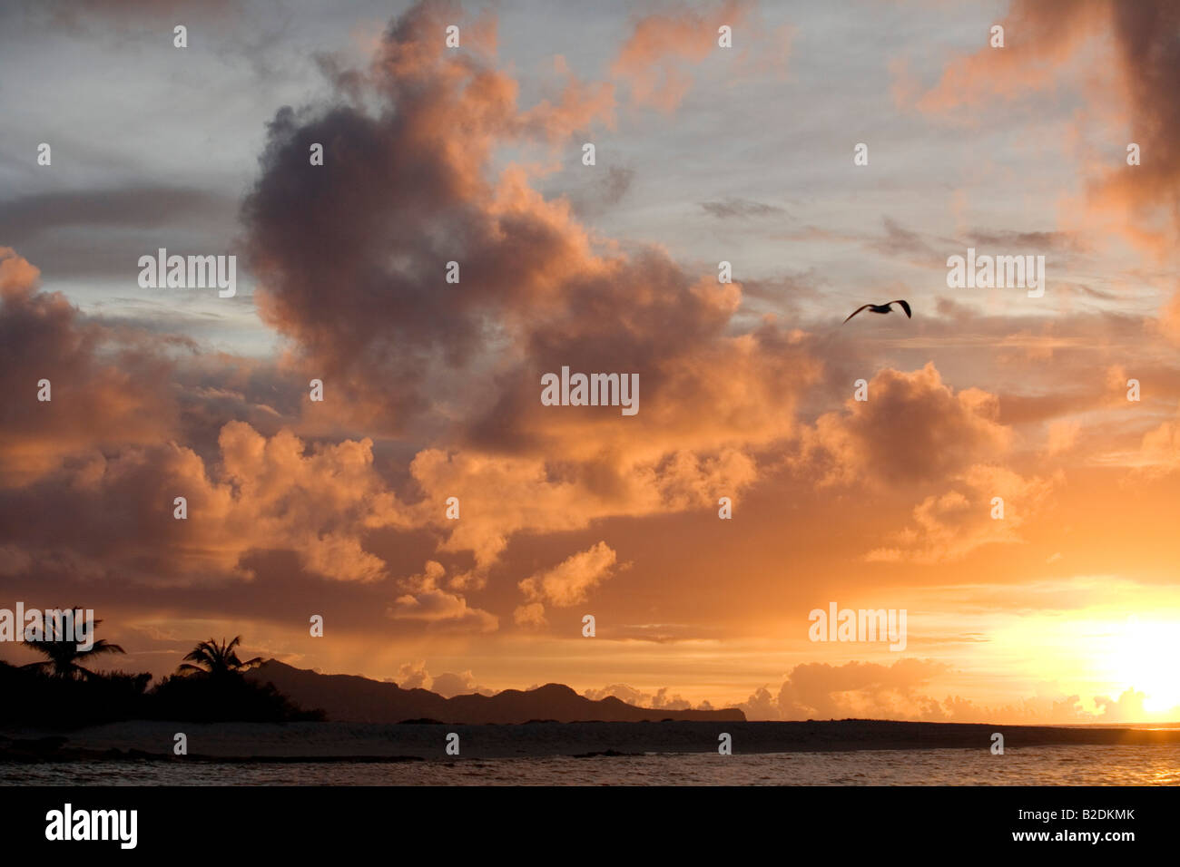 Caribbean islands at sunset hi-res stock photography and images - Alamy