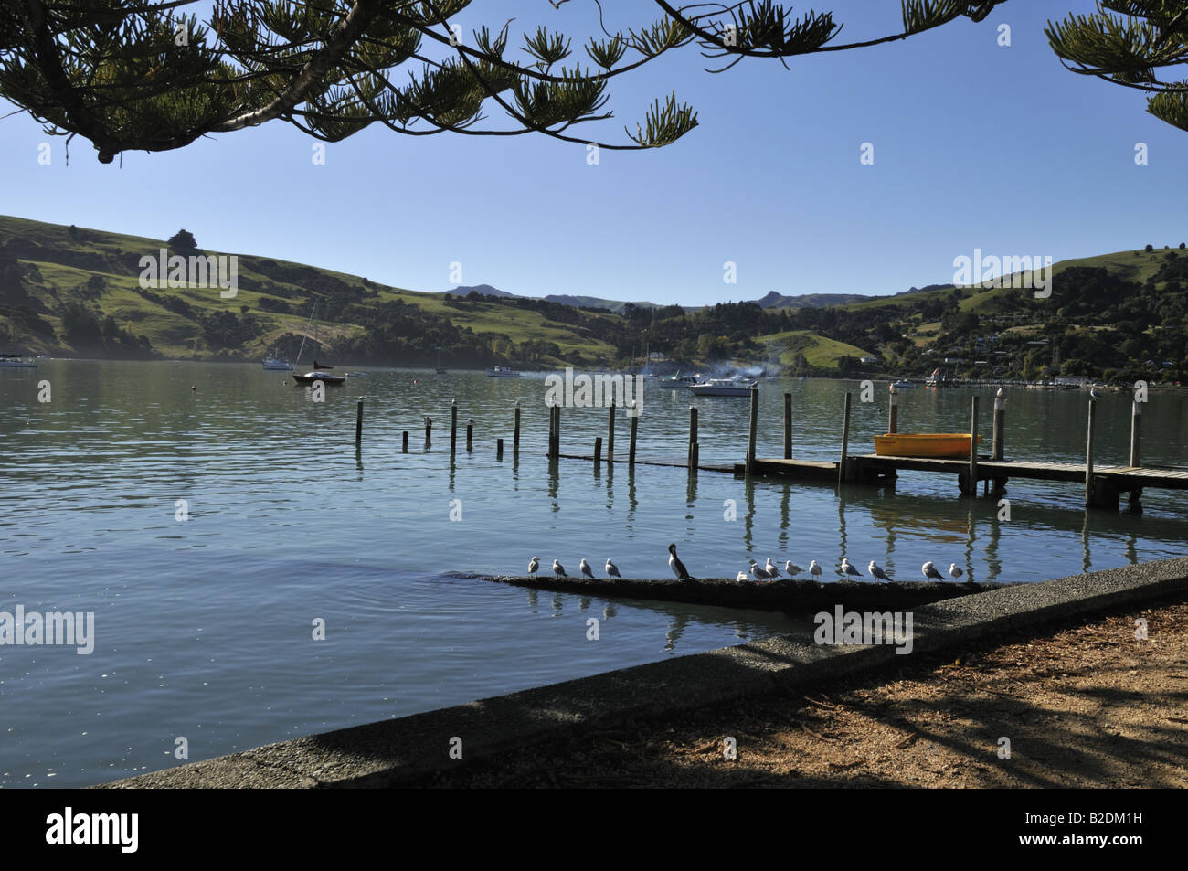 Akaroa harbour and waterfront Banks Peninsula Canterbury South Island ...