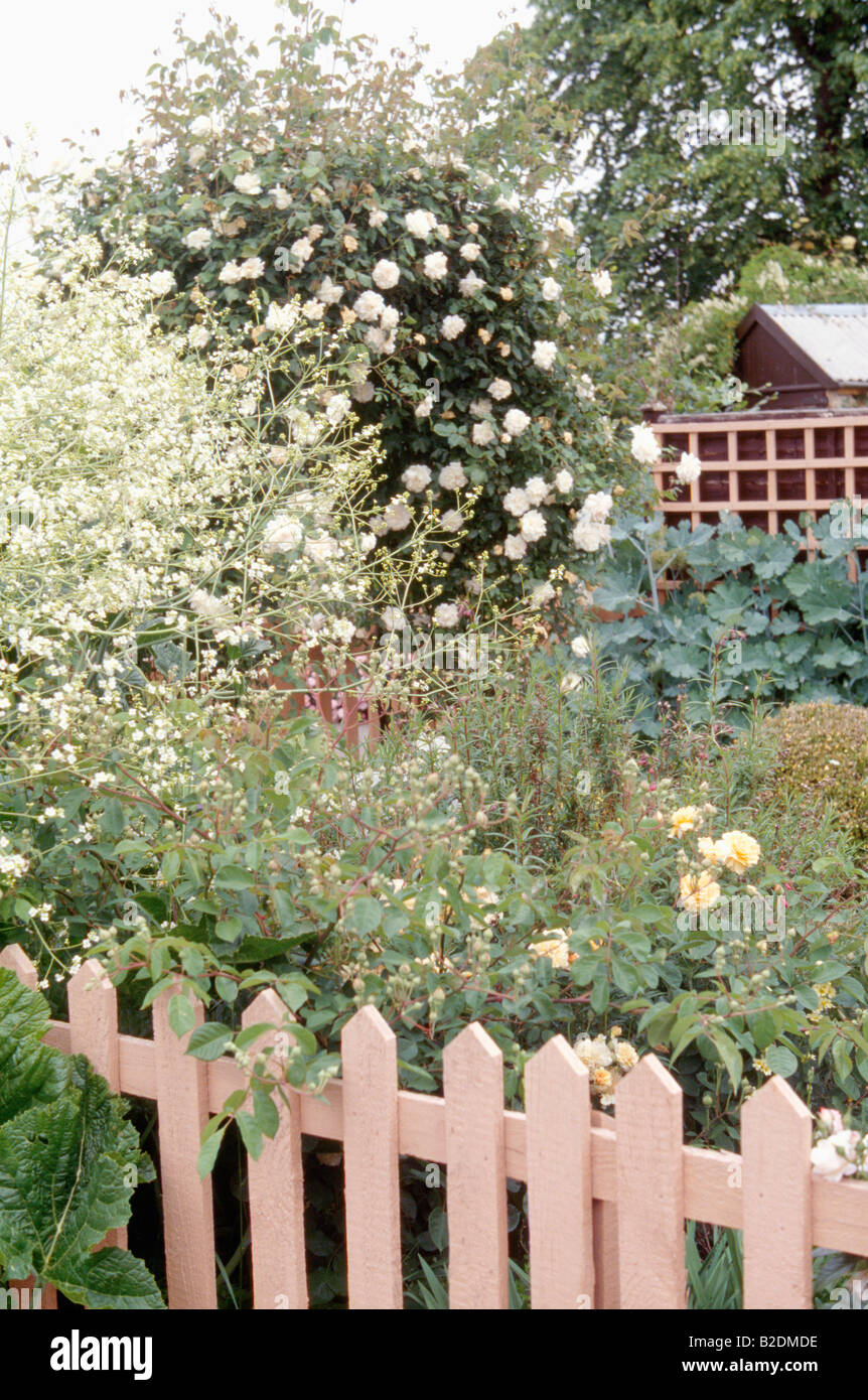 Pastel pink wooden picket fence in front of summer cottage garden with ...