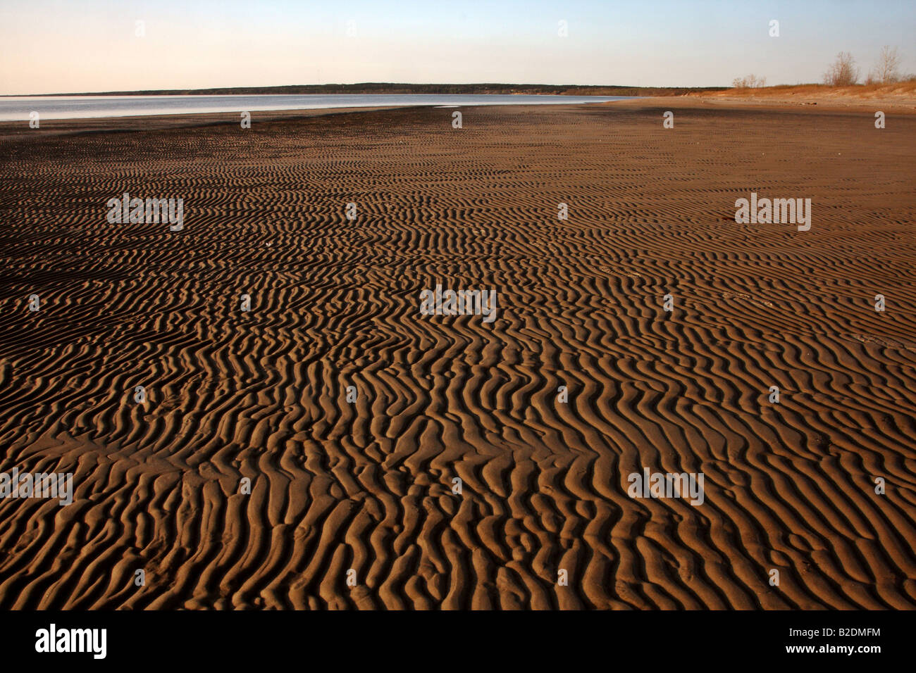 Sand flats along shore of Lake Winnipeg Stock Photo - Alamy