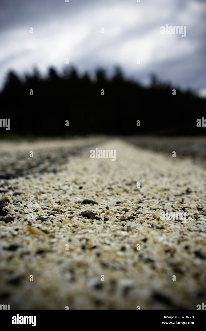 white shell beach in Montague Harbour Provincial Park Galiano Stock ...